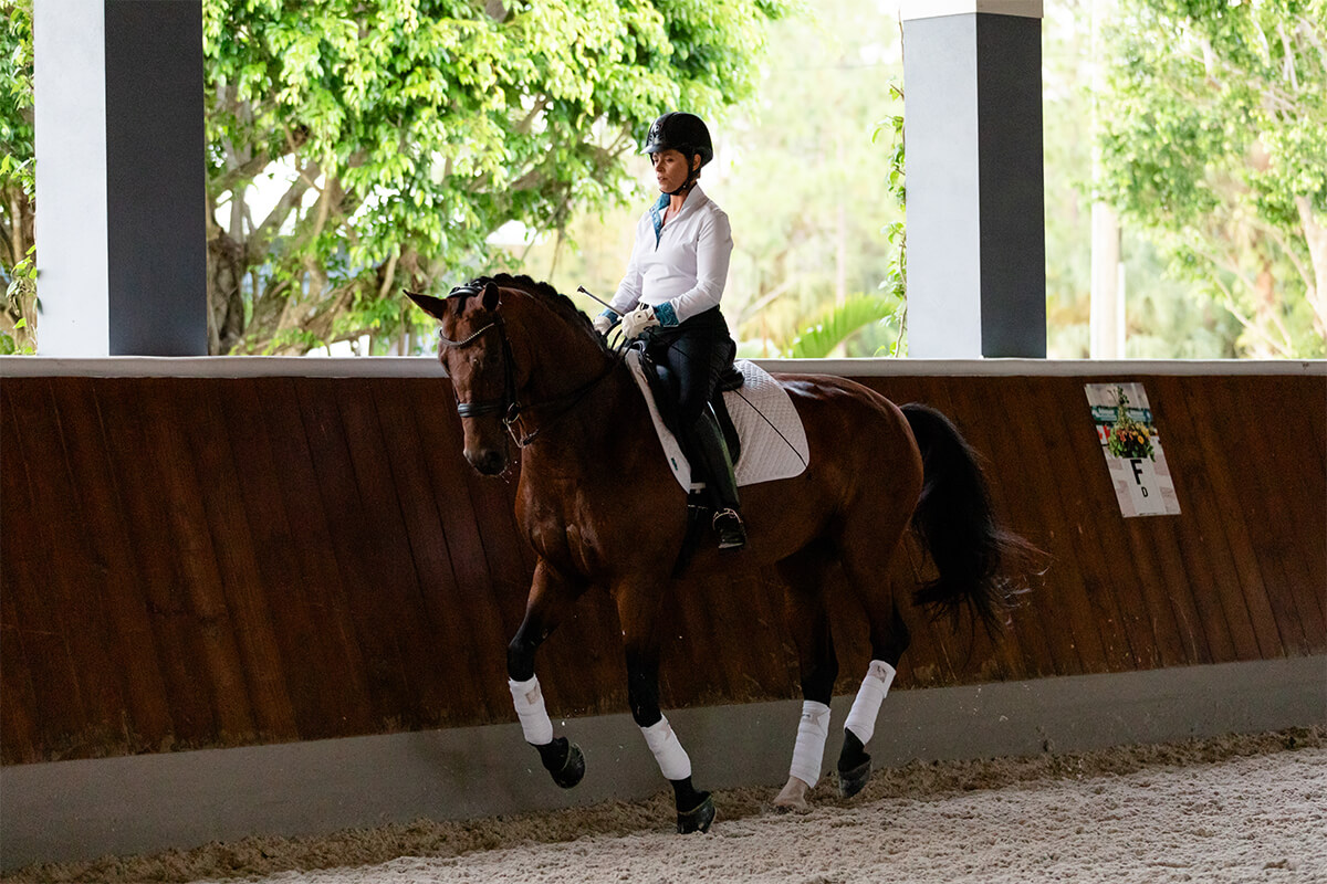 Horsemanship, Sportsmanship, & Competition