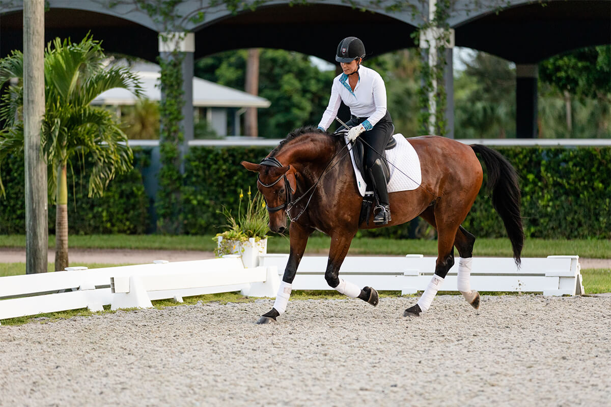 Horsemanship, Sportsmanship, & Competition