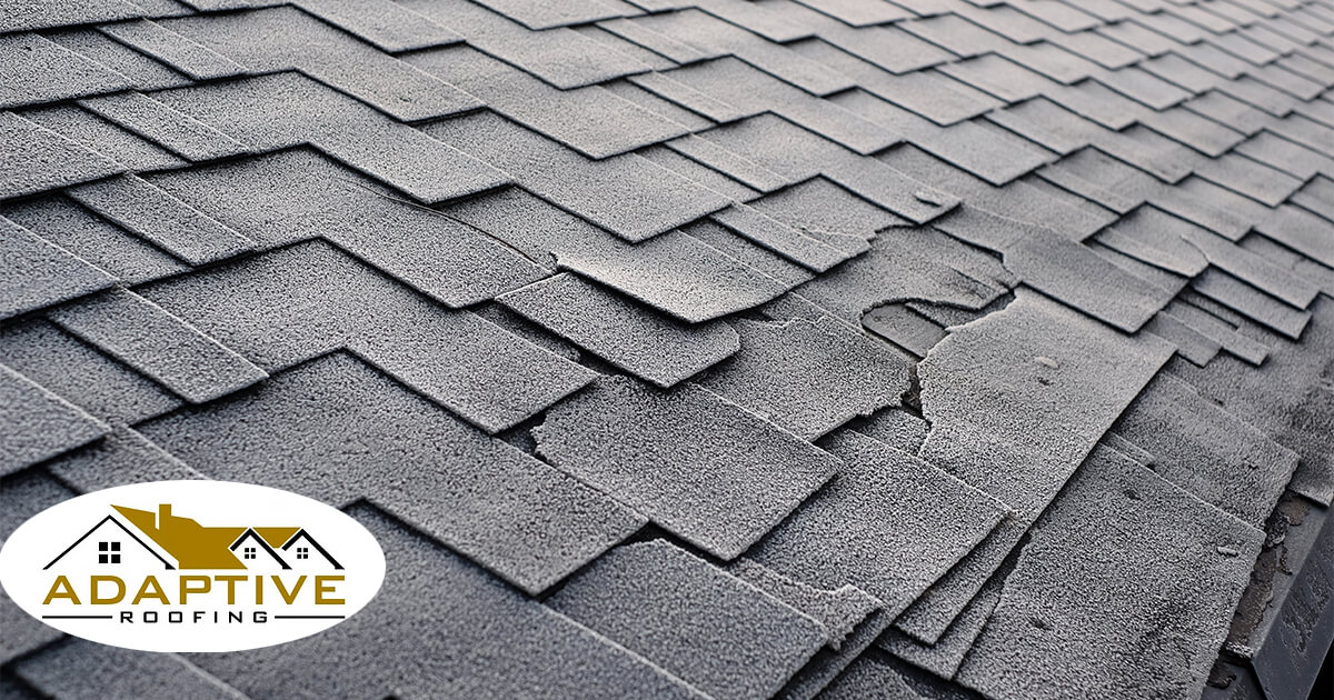 Adaptive Roofing refers these businesses for Banquet hall.